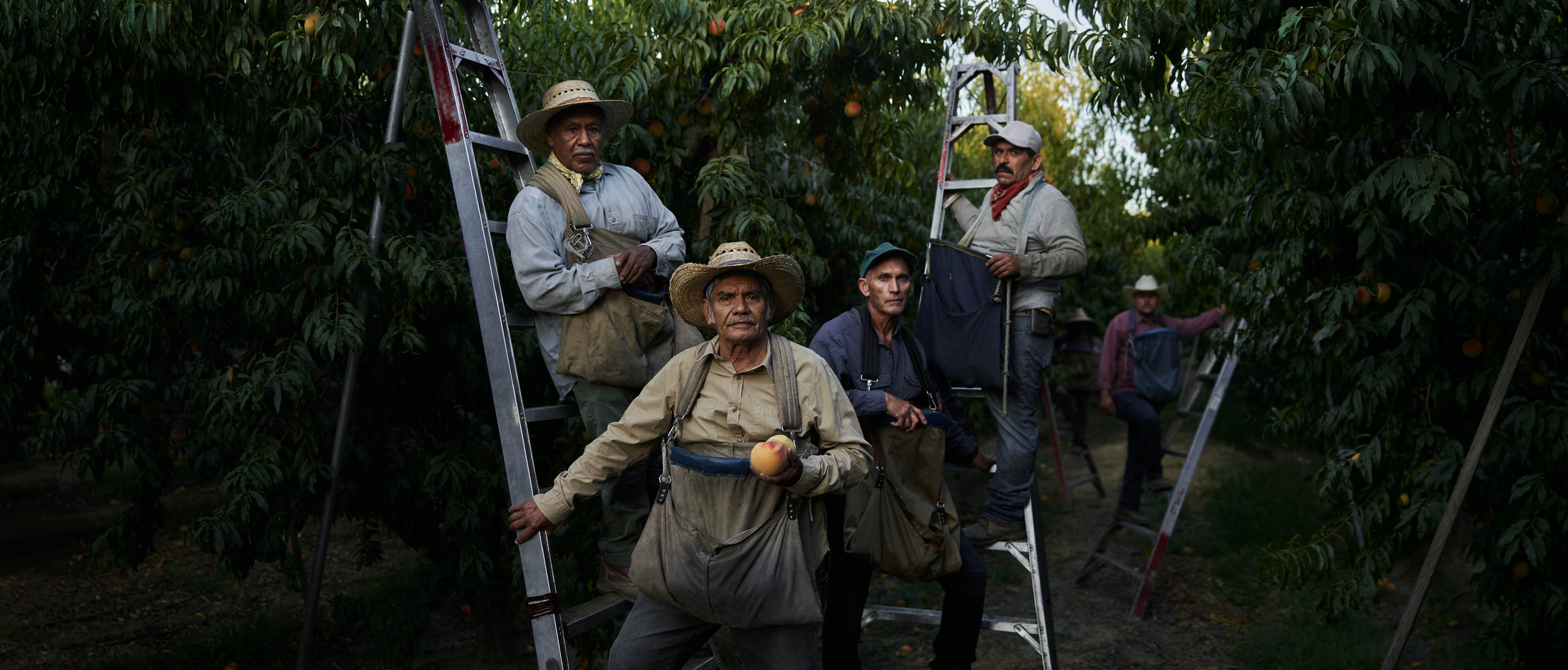 Joey L. - NYC-based Photographer and Director